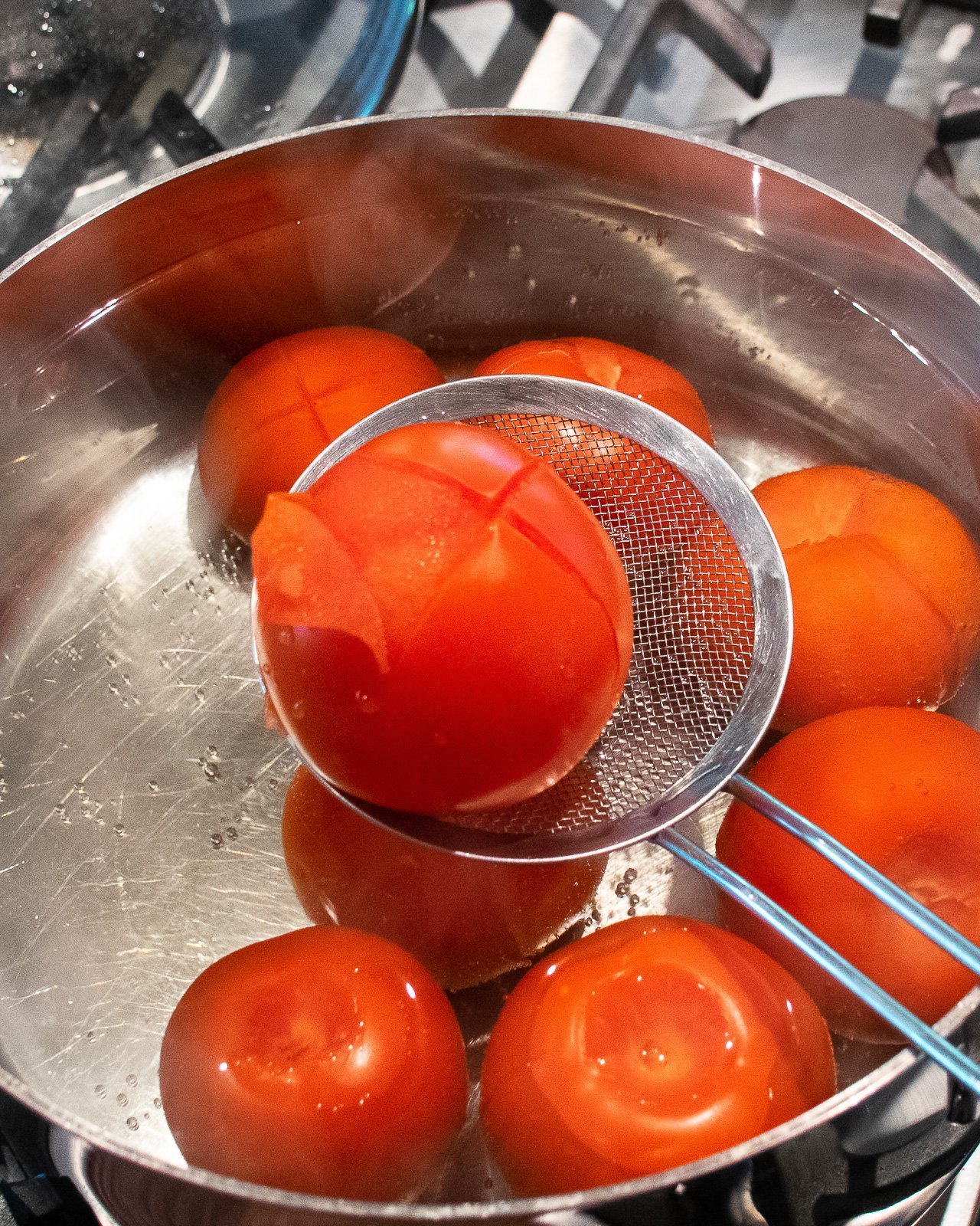 How to Make Tomato Concassé | Blue Jean Chef - Meredith Laurence