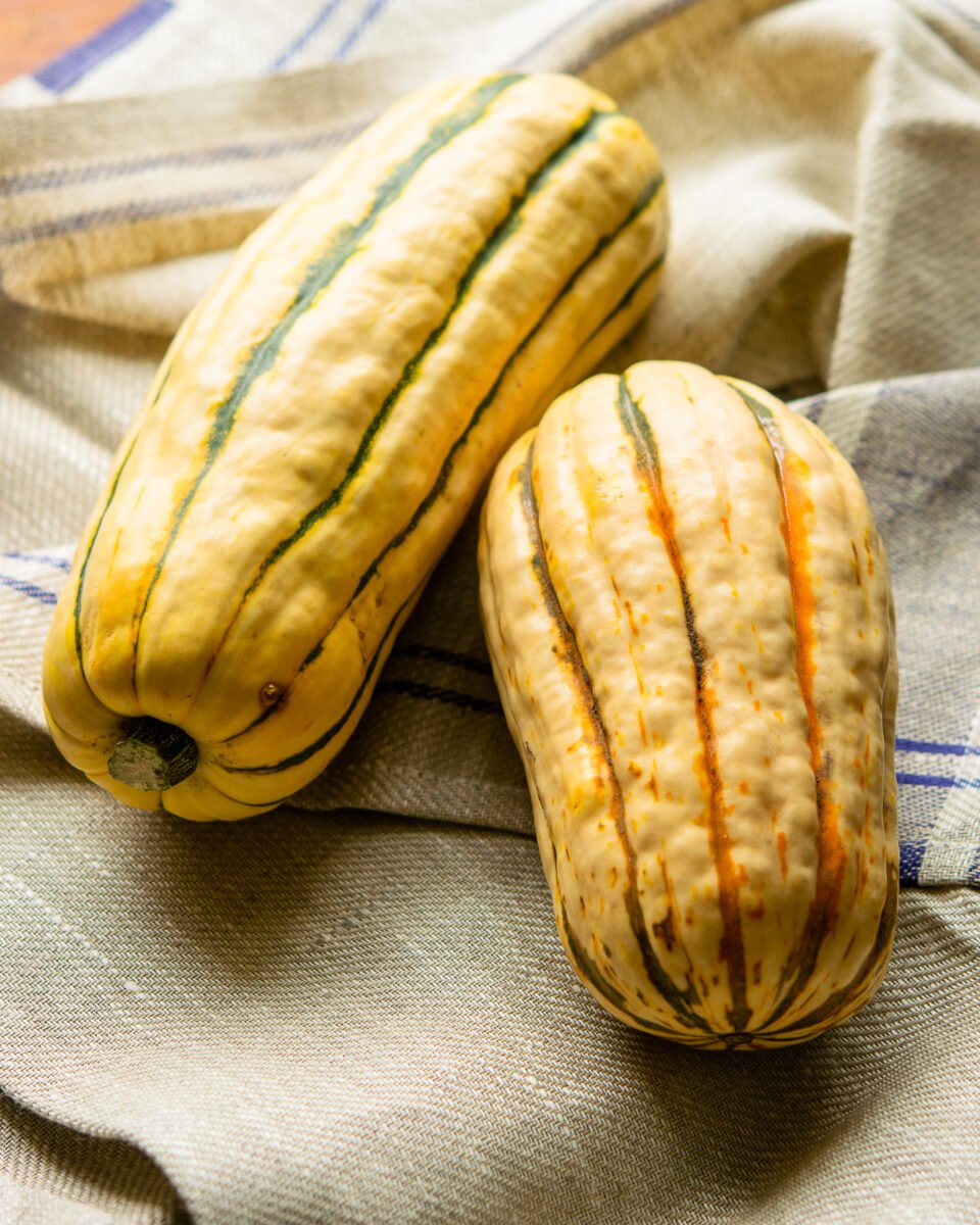 Stuffed Delicata Squash | Blue Jean Chef - Meredith Laurence