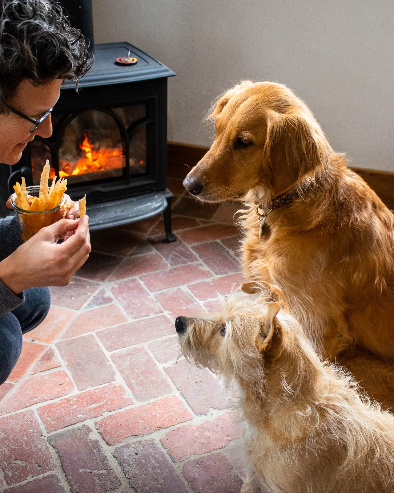 Chicken Jerky Dog Treats | Blue Jean Chef - Meredith Laurence